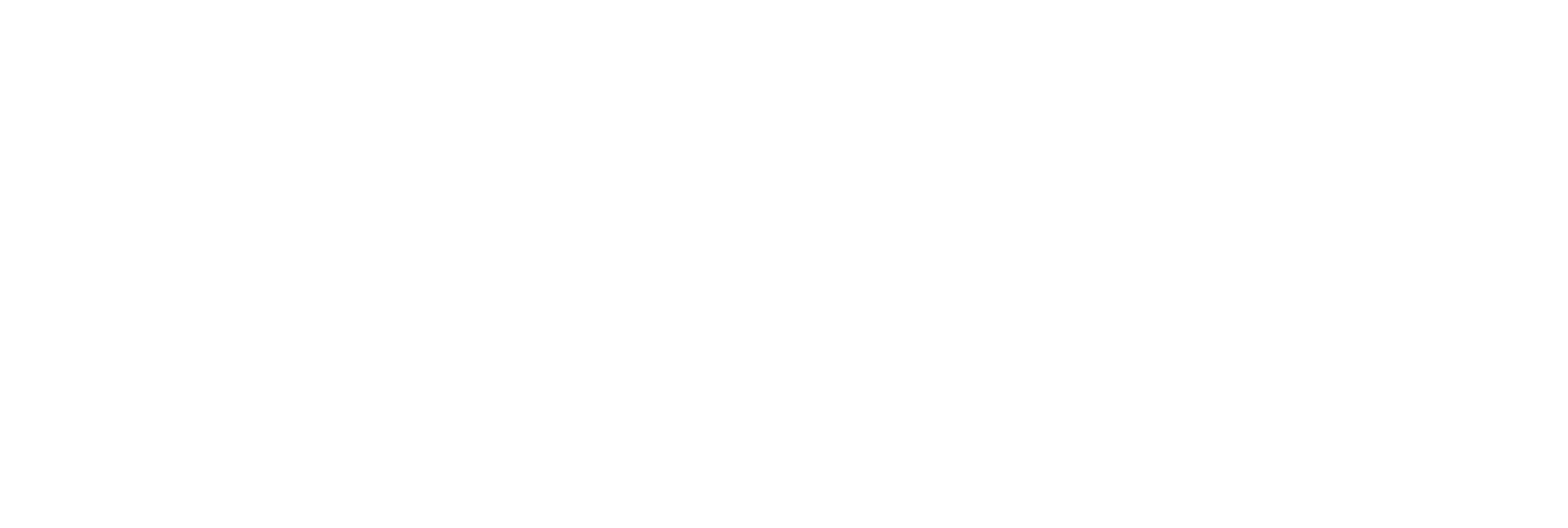 Elegant Gasteria 'Ox Tongue' Polita 10cm | Grow With The Flow Online ...